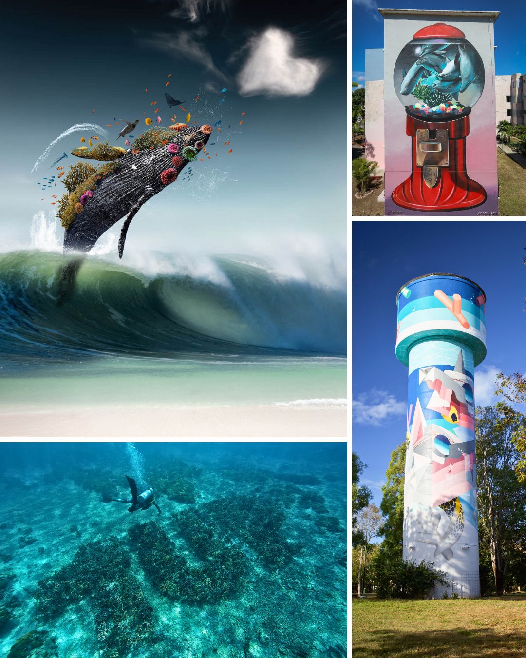 Impact Program | PangeaSeed