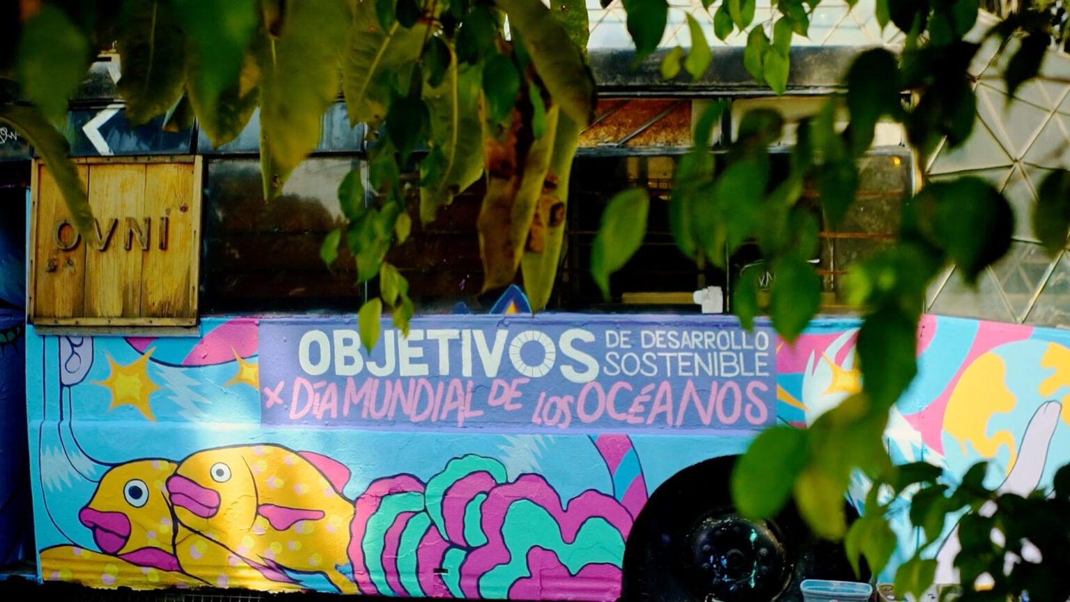 The Global Goals SDG 14 Mural | PangeaSeed